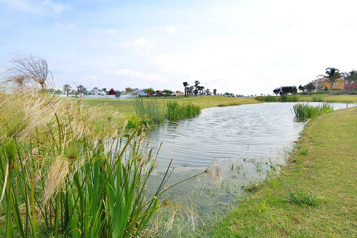 Mar Menor Golf Resort - Information - Andrew Brown - Mar Menor Golf Resort
